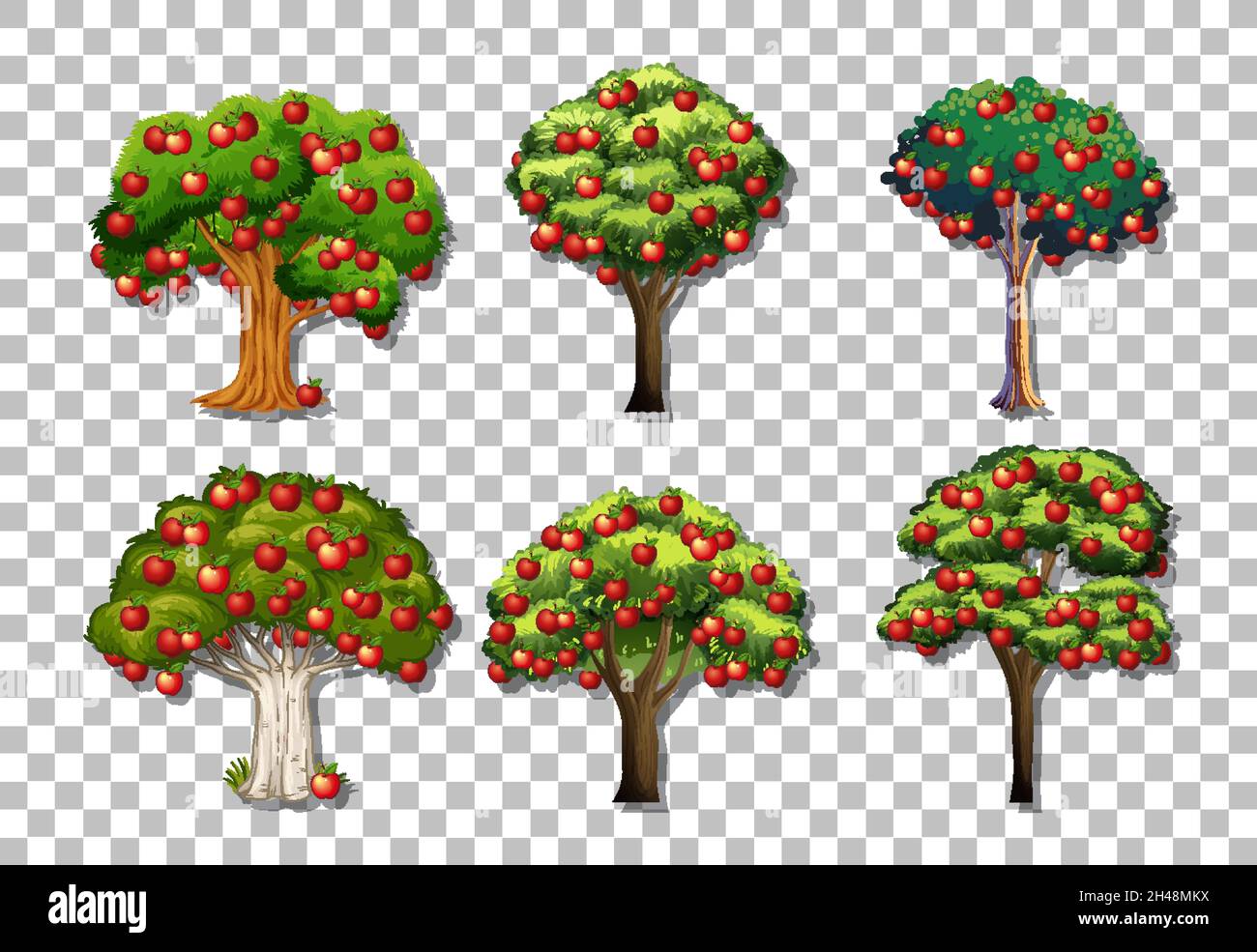 Set of variety apple trees on transparent background illustration Stock ...