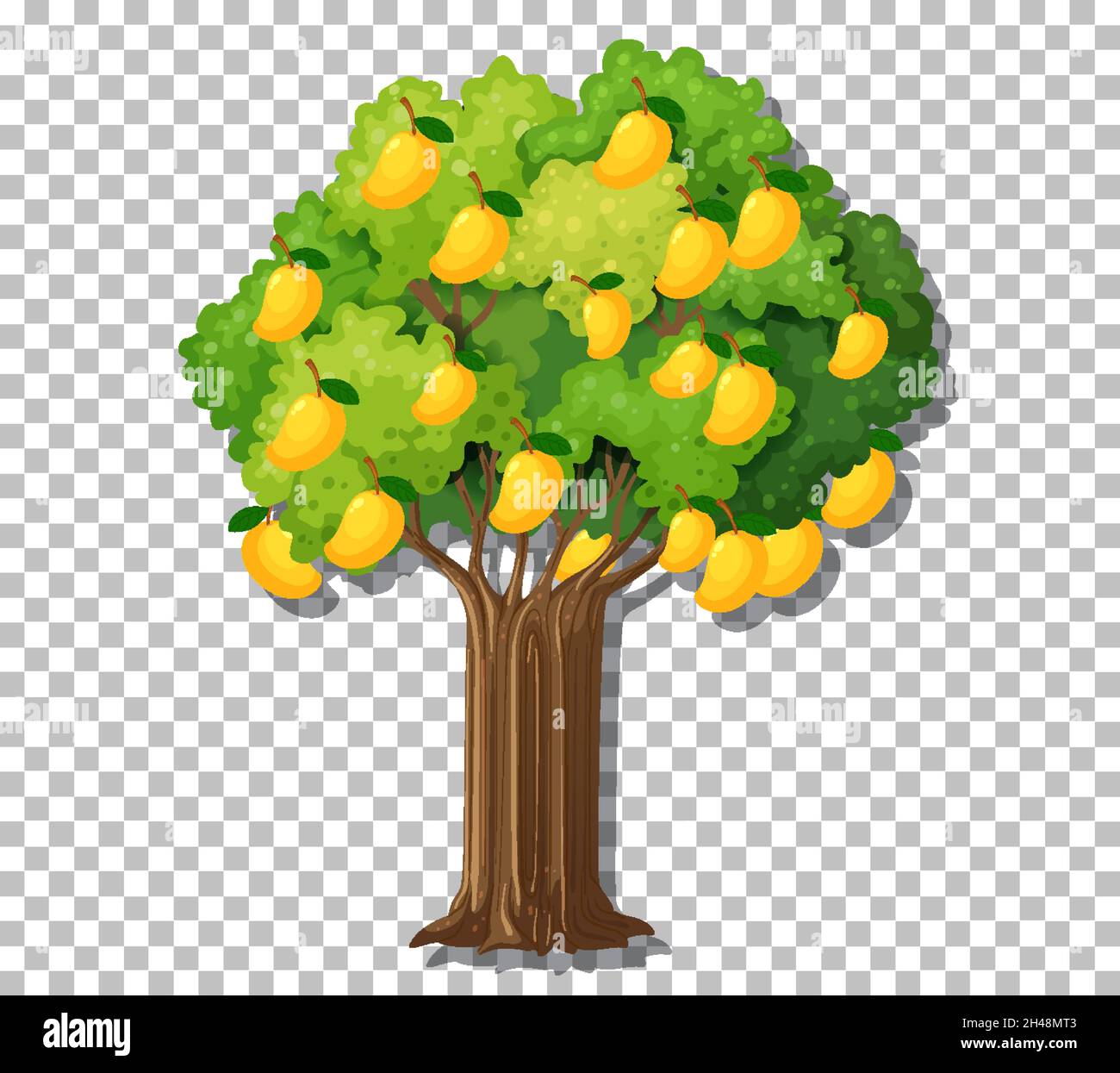 Mango tree on transparent background illustration Stock Vector Image ...