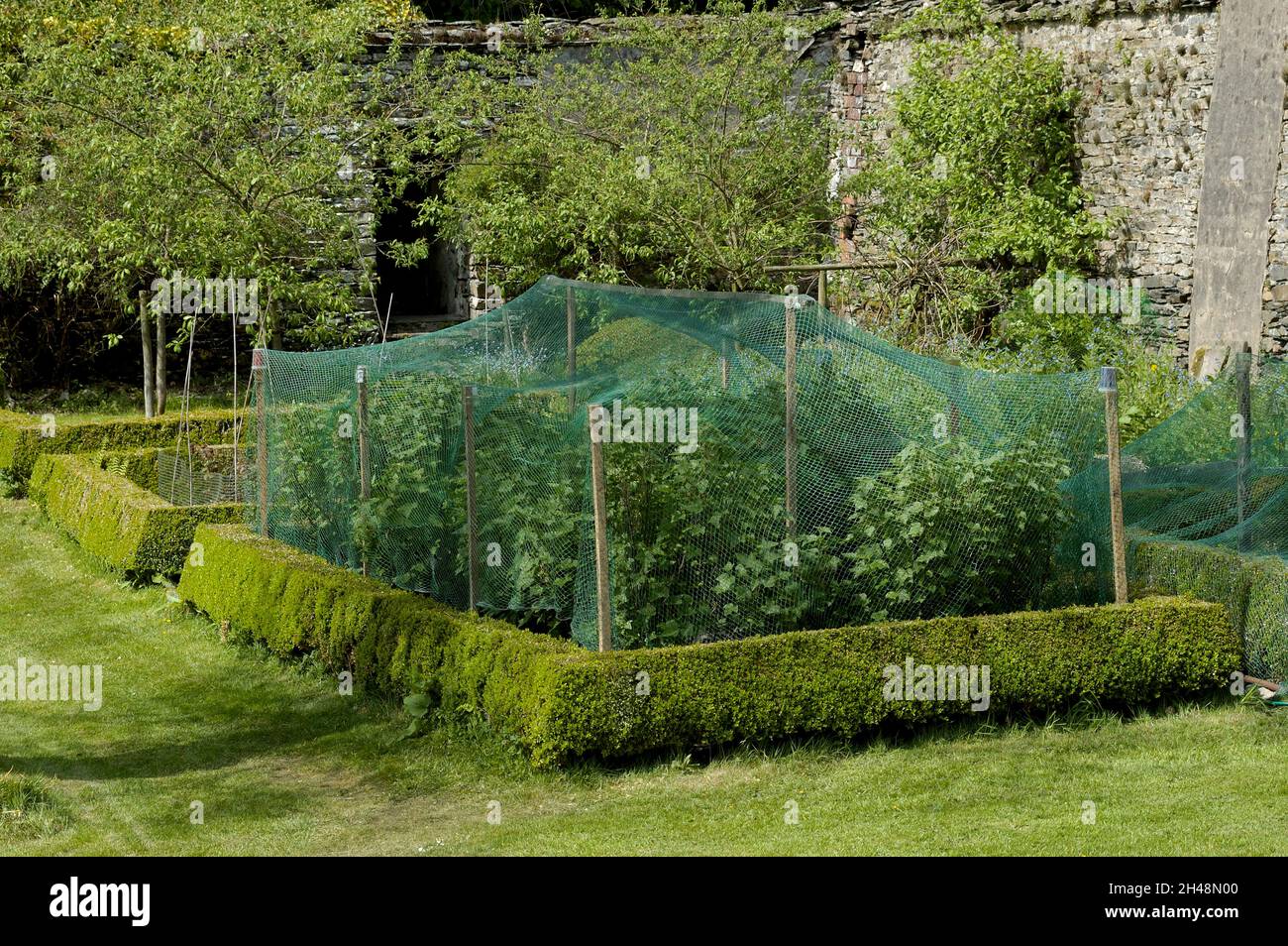 Cage cages hi-res stock photography and images - Alamy