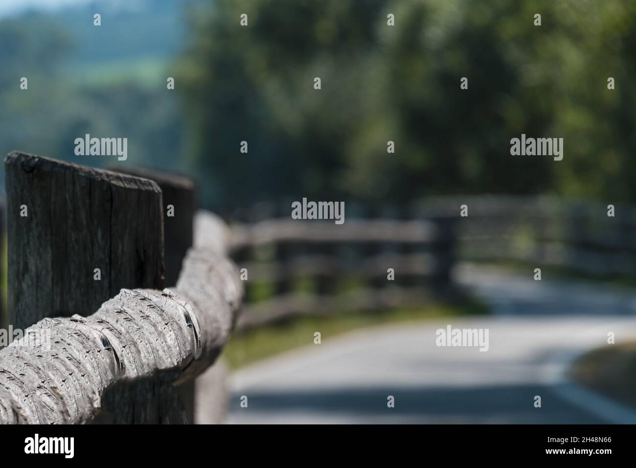 Fence along narrow asphalt path as a concept for movement and direction ...
