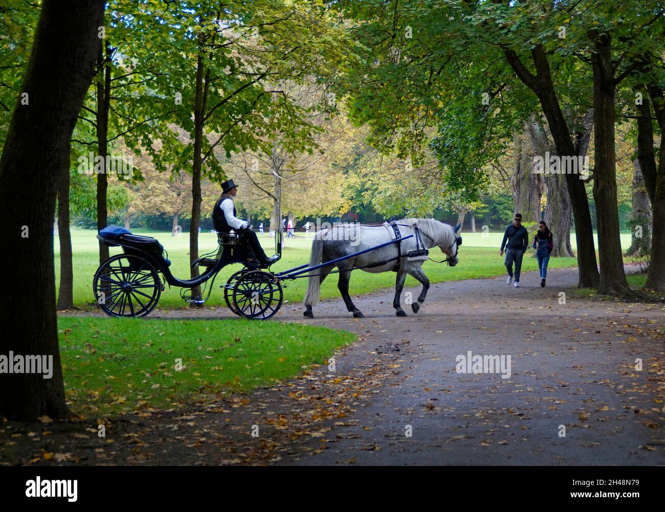 Cowboy driving horses hi-res stock photography and images - Alamy