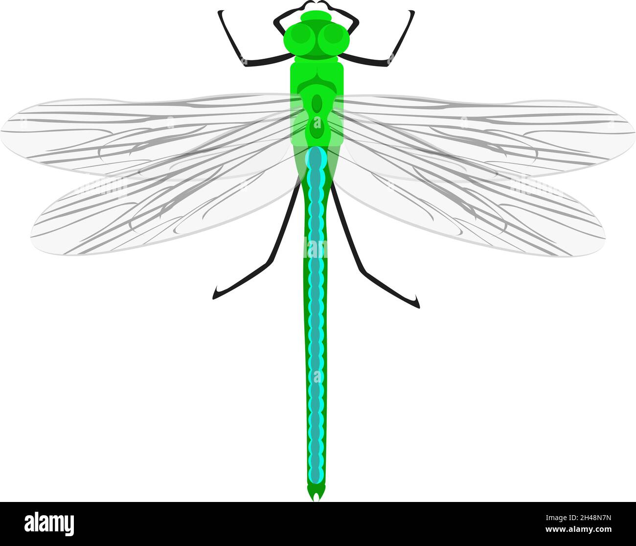 Green dragonfly, illustration, vector on a white background Stock ...