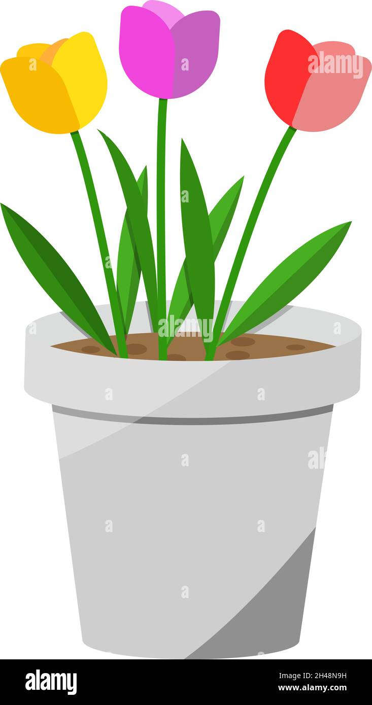 Flower pot, illustration, vector on a white background Stock Vector ...