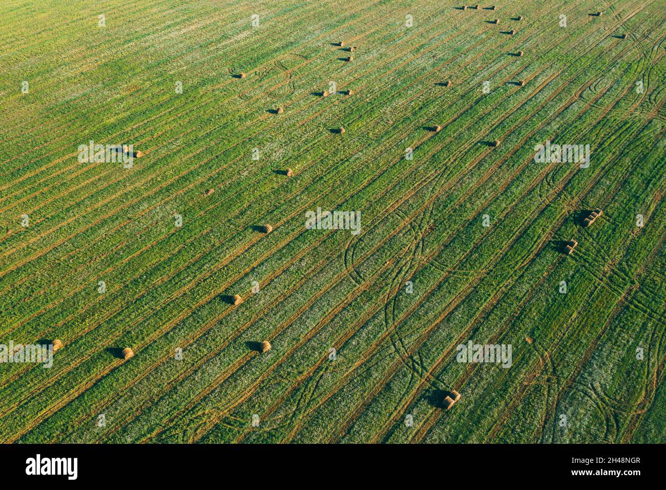 Aerial View of Summer Field Landscape With With Dry Hay Bales During ...