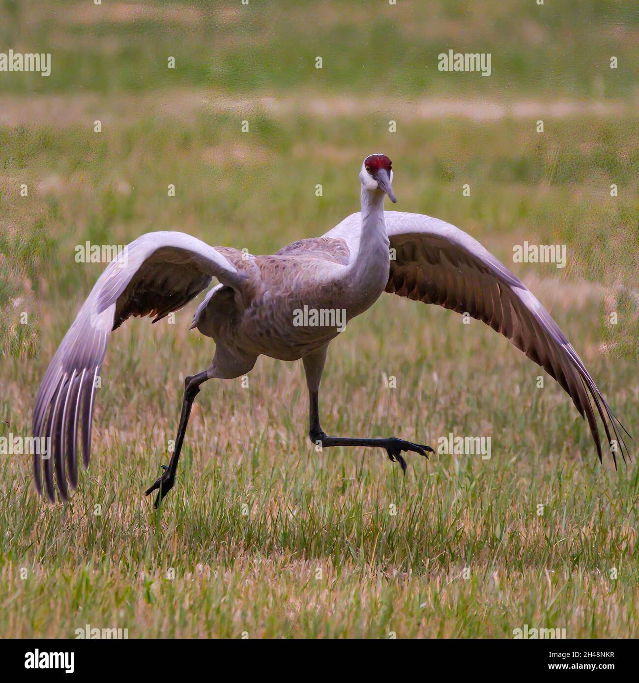 Closuep ready hi-res stock photography and images - Alamy