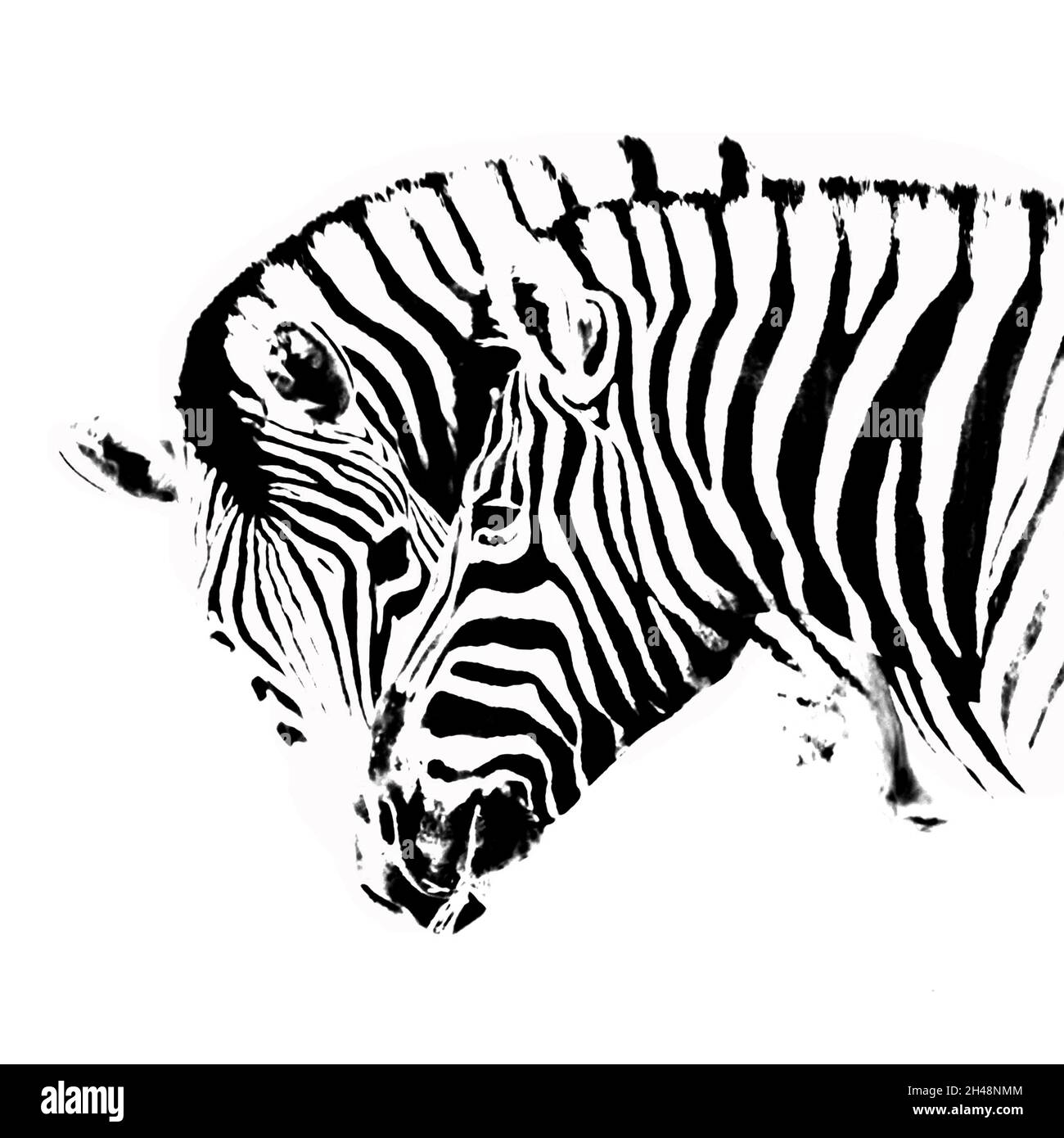 Group friends in white Cut Out Stock Images & Pictures - Alamy