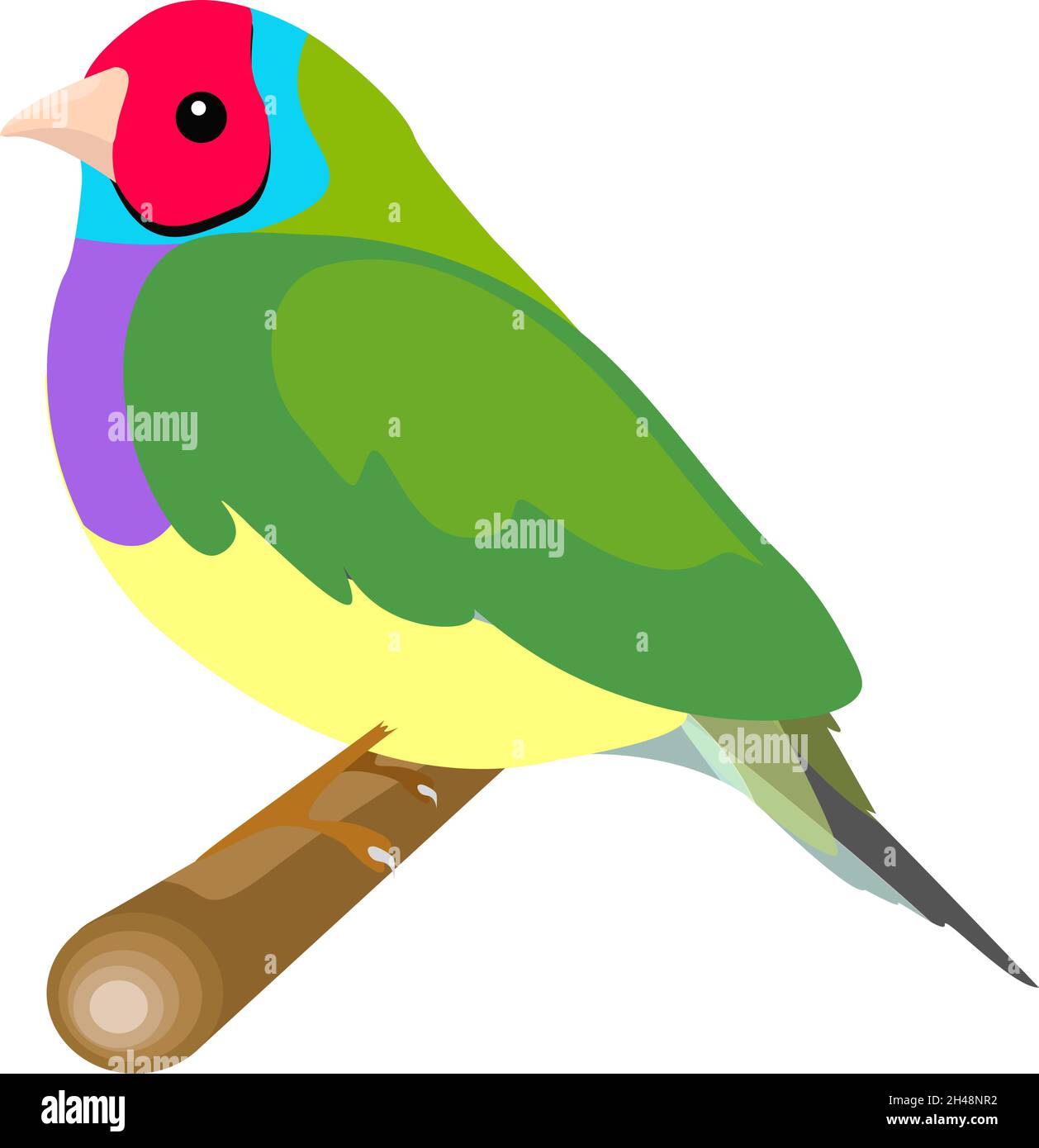 Finch bird, illustration, vector on a white background Stock Vector ...