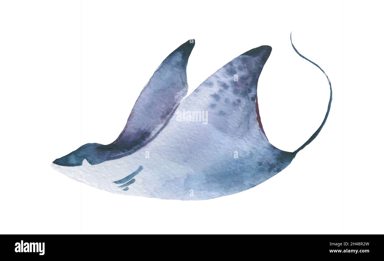 Stingray watercolor collection, Set of sea animals Blue ocean Stingray ...