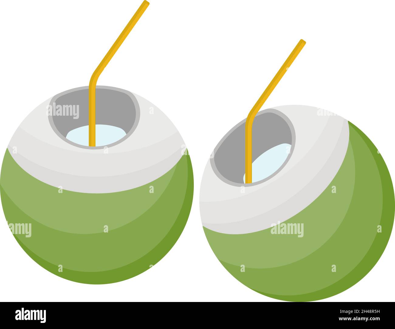 Green coconut vector Stock Vector Images - Alamy