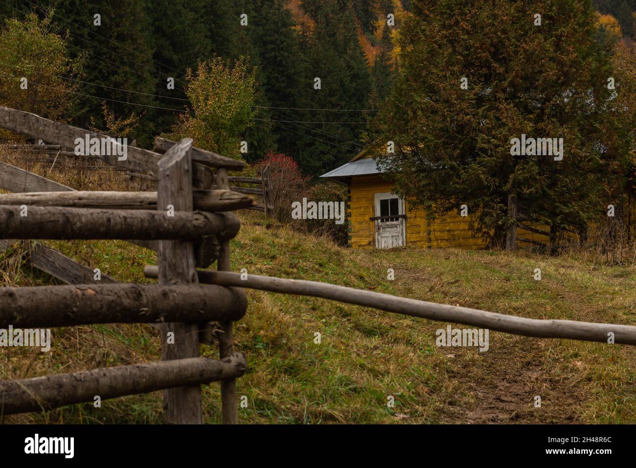 Autumn mountain landscape with fall colored forest and rural wooden ...
