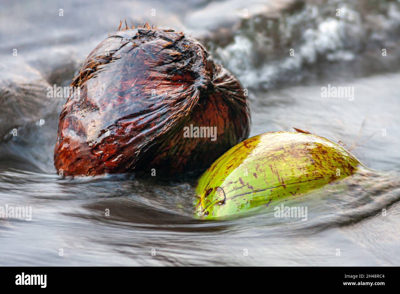 Coconut shire hi-res stock photography and images - Alamy
