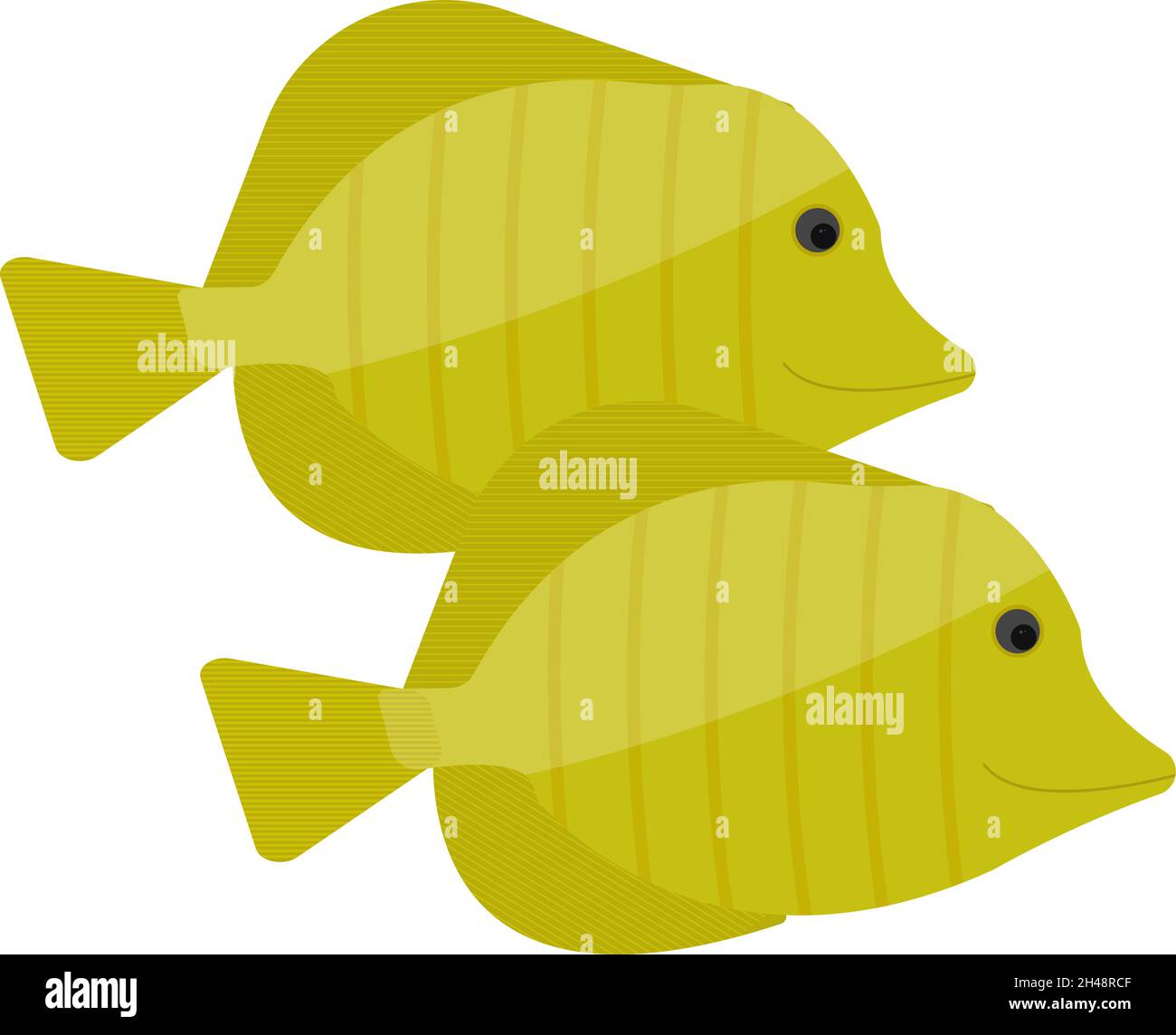 Coral yellow background Cut Out Stock Images & Pictures - Alamy