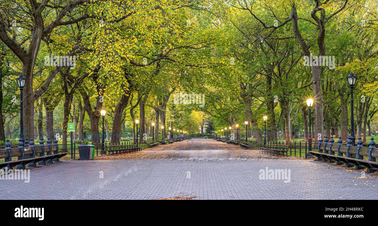 The Mall in Central Park, New York City after morning rain Stock Photo ...