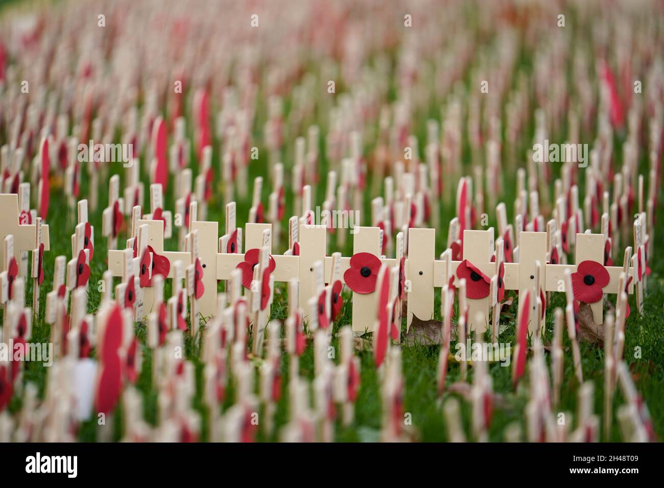 Planted tributes during the official opening of the 2021 Royal British ...