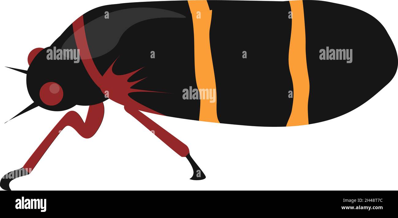 Macro musca Stock Vector Images - Alamy