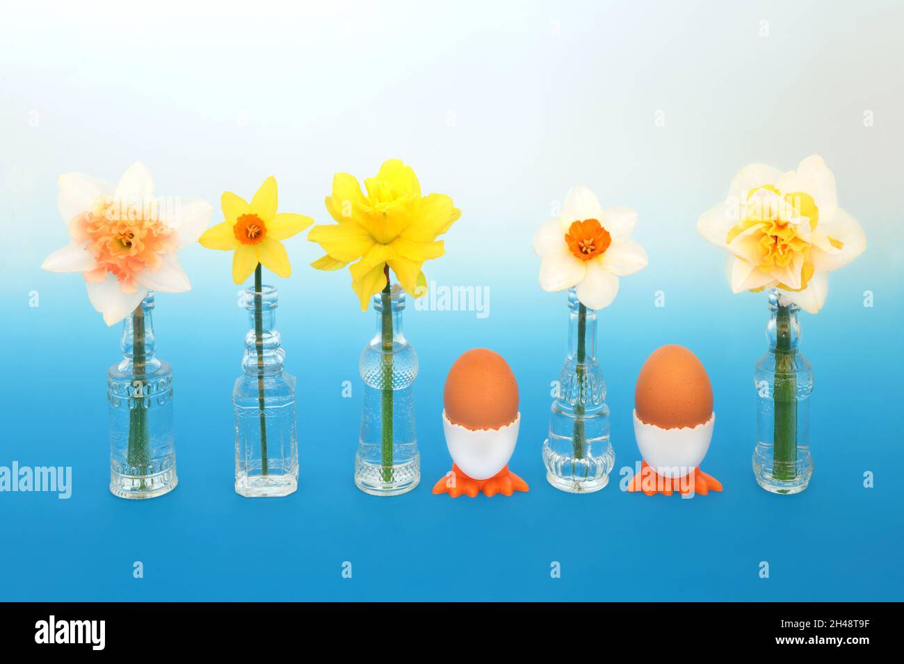 Symbols of new life nature hi-res stock photography and images - Alamy