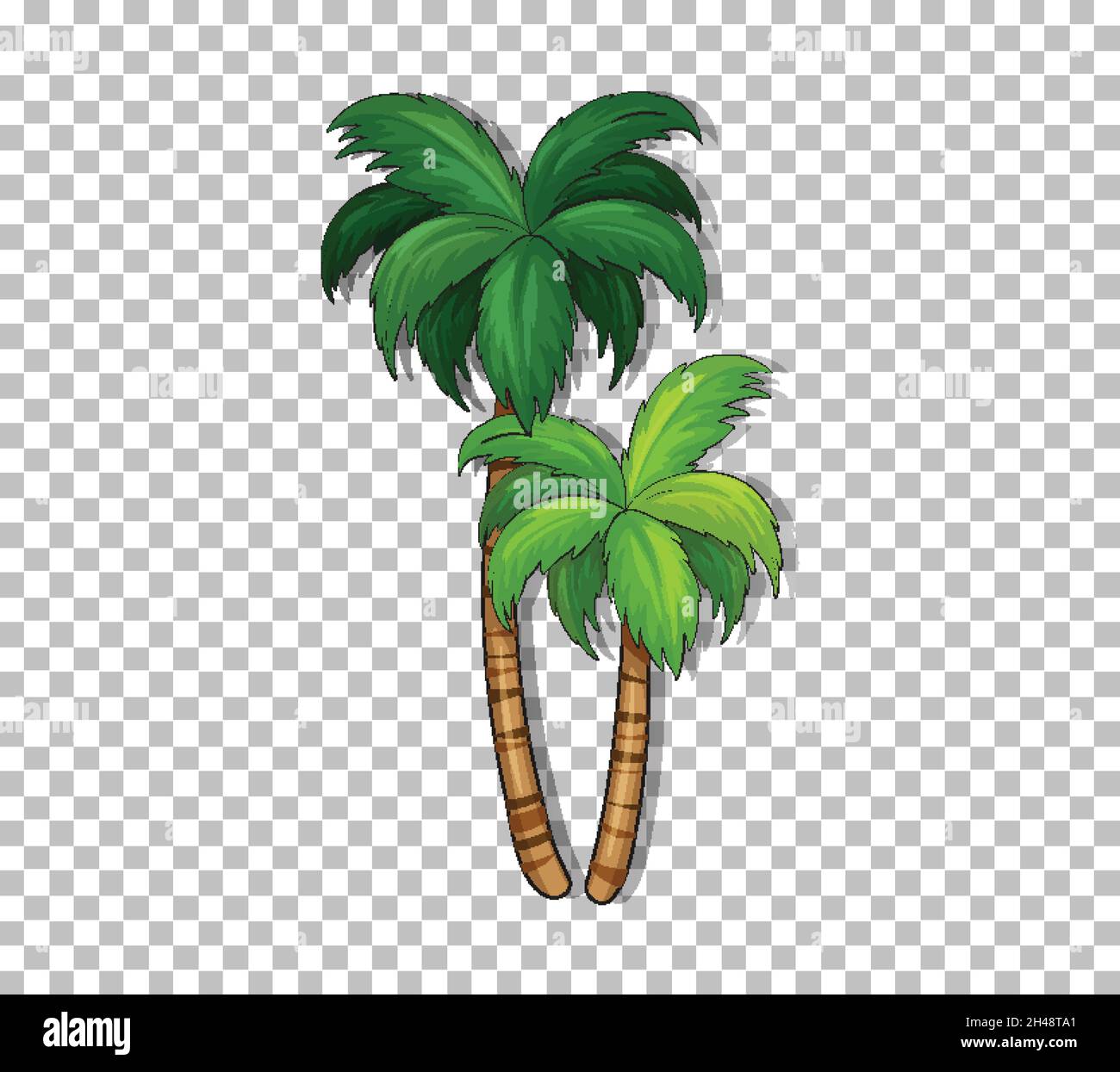 Coconut tree on transparent background illustration Stock Vector Image ...