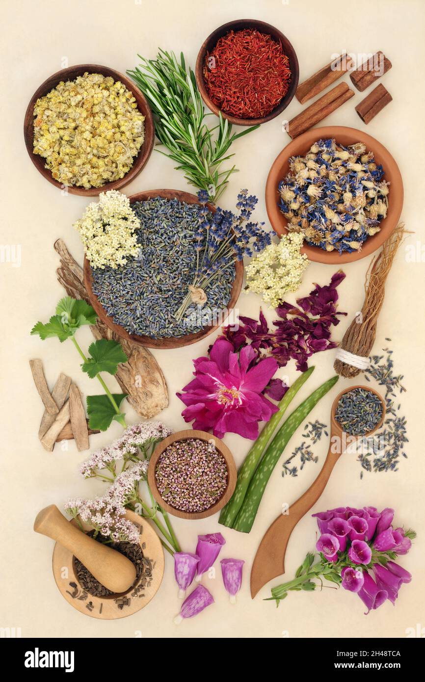 Healing herbs and flowers for health and wellness for alternative plant ...