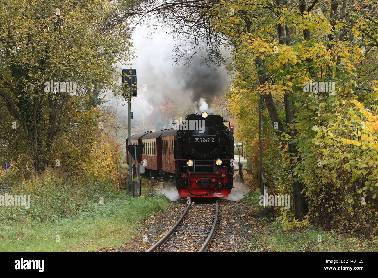 Wernigerode, Germany. 01st Nov, 2021. A train of the Harzer ...