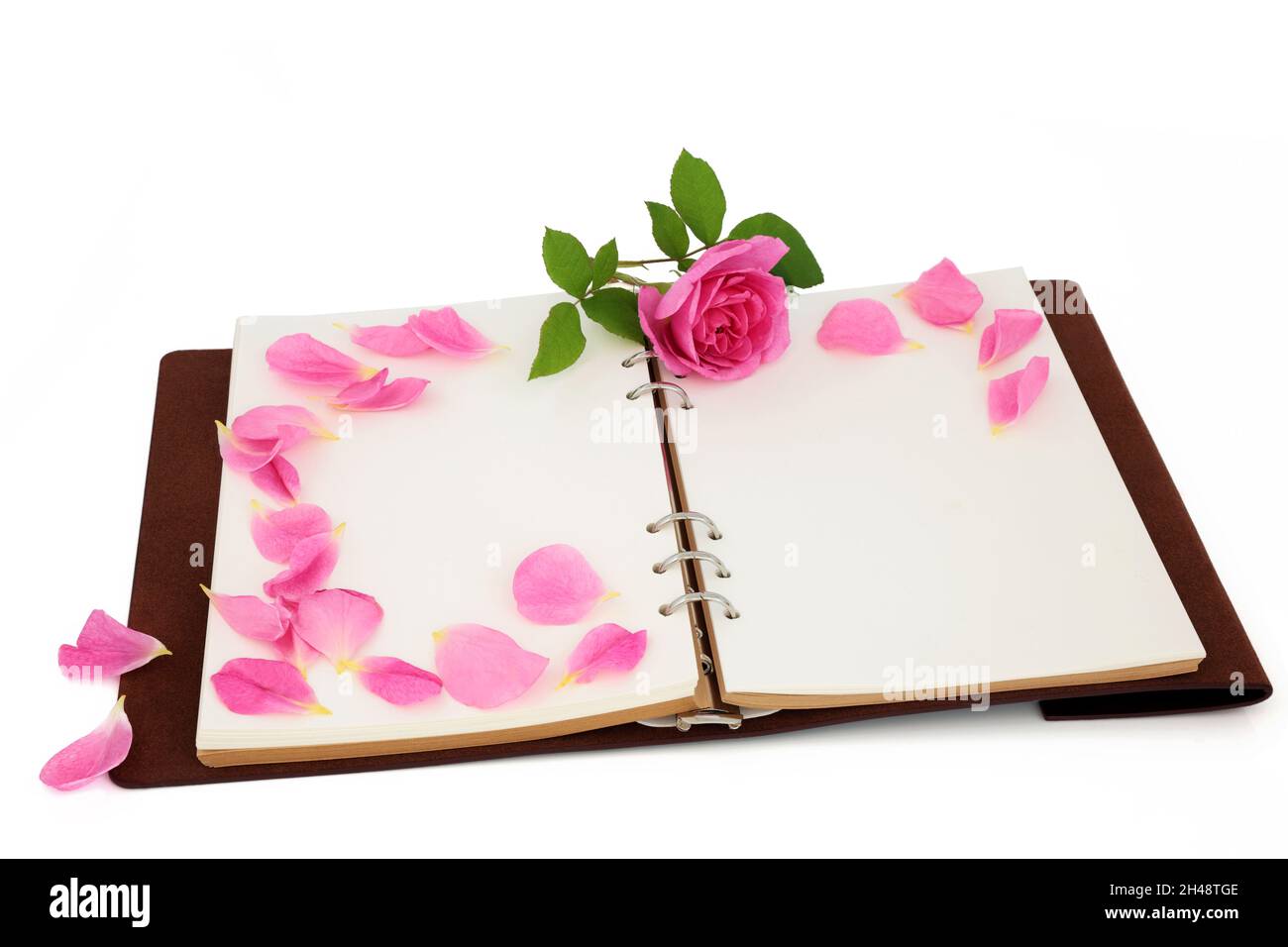 Rose petal on book page Cut Out Stock Images & Pictures - Alamy