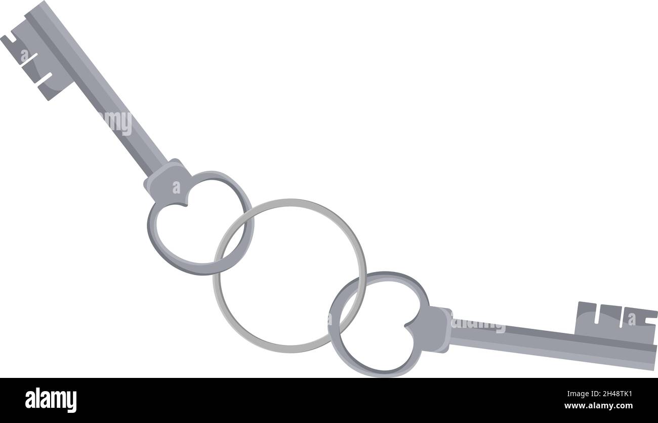 Two keys, illustration, vector on a white background Stock Vector Image ...