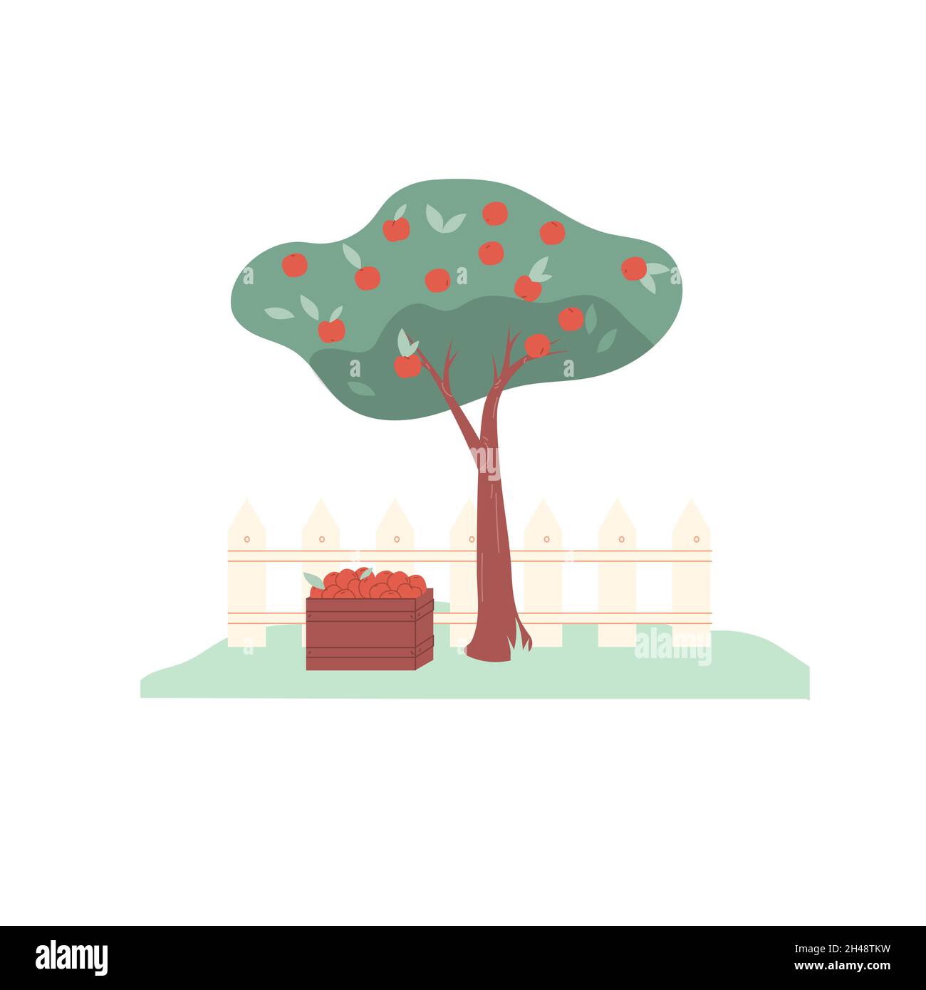 Flat cartoon apple tree with ripe apples,ecological farm,agriculture ...