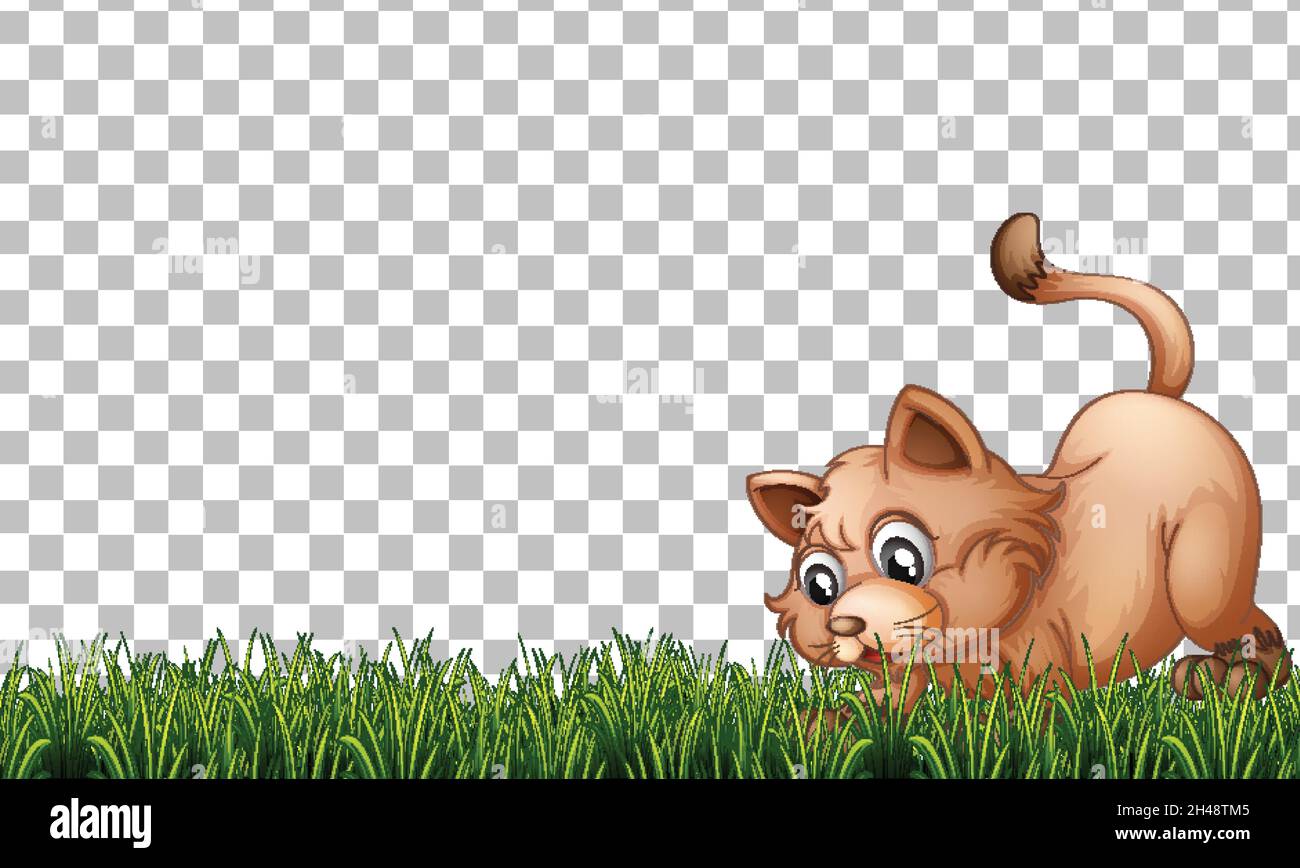 Cute cat on transparent background illustration Stock Vector Image ...