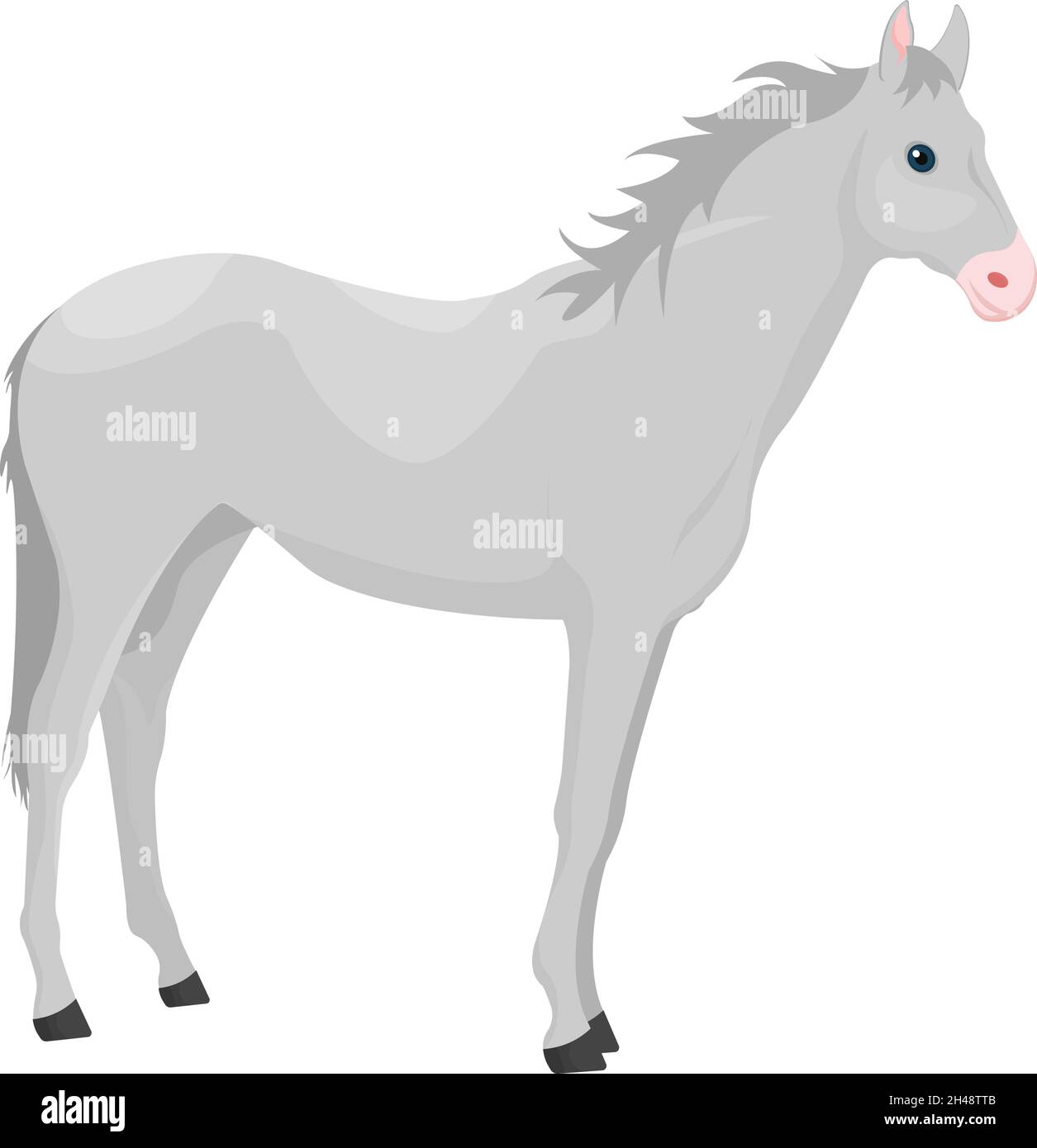 White horse, illustration, vector on a white background Stock Vector ...