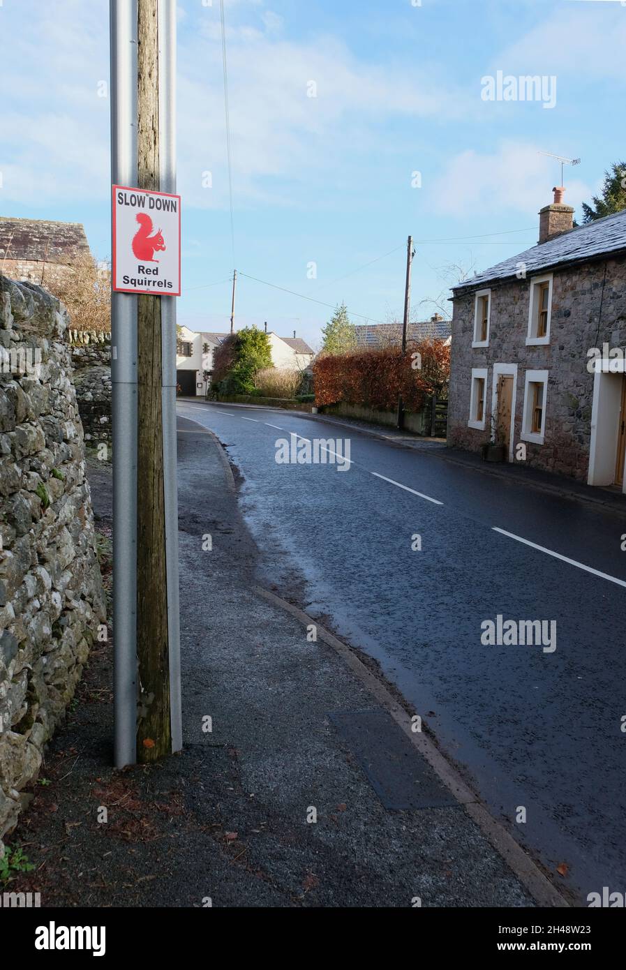Red Squirrels Road Sign High Resolution Stock Photography and Images ...
