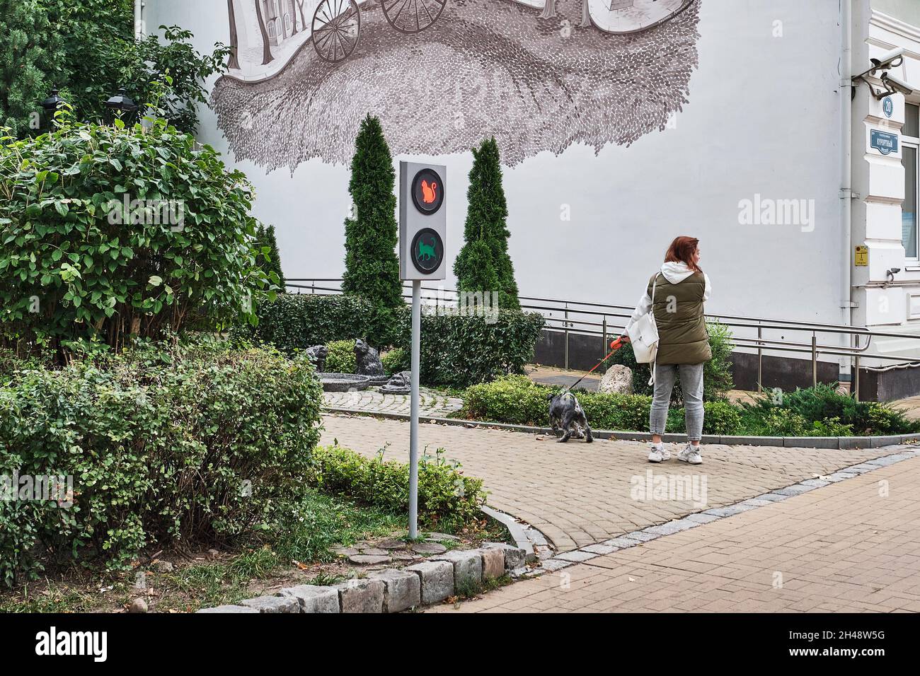 Cat traffic light on autumn street in tourist area.Girl walking with ...