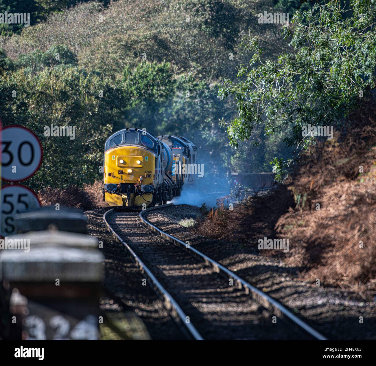 Class 37 Leaf clearing train Stock Photo - Alamy