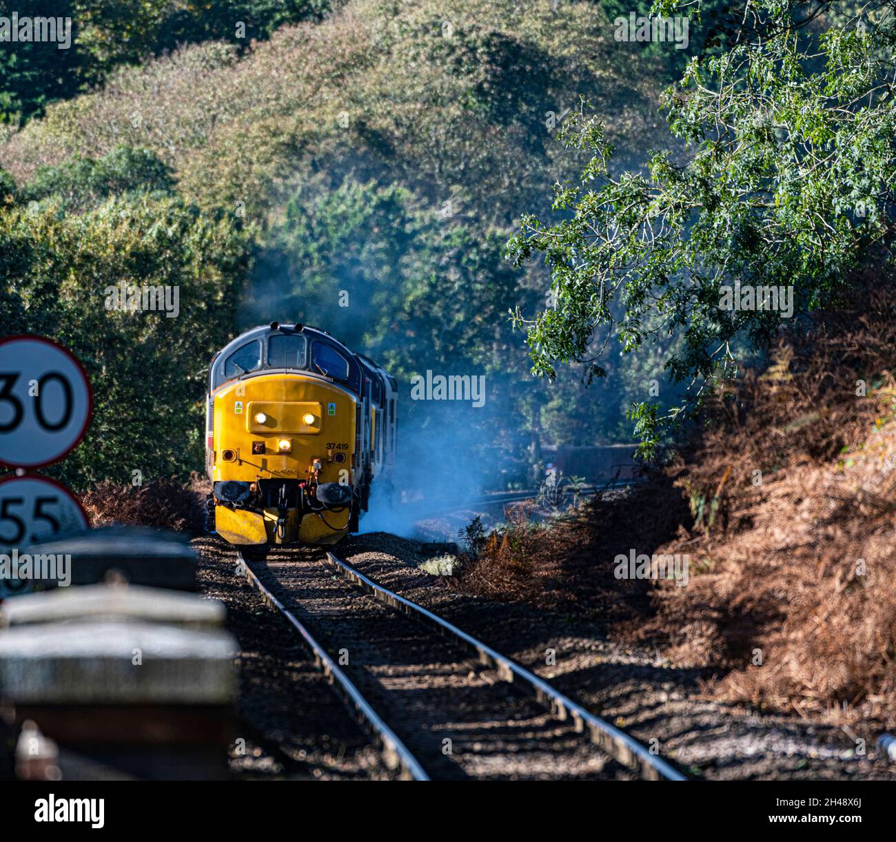 Class 37 Leaf clearing train Stock Photo - Alamy