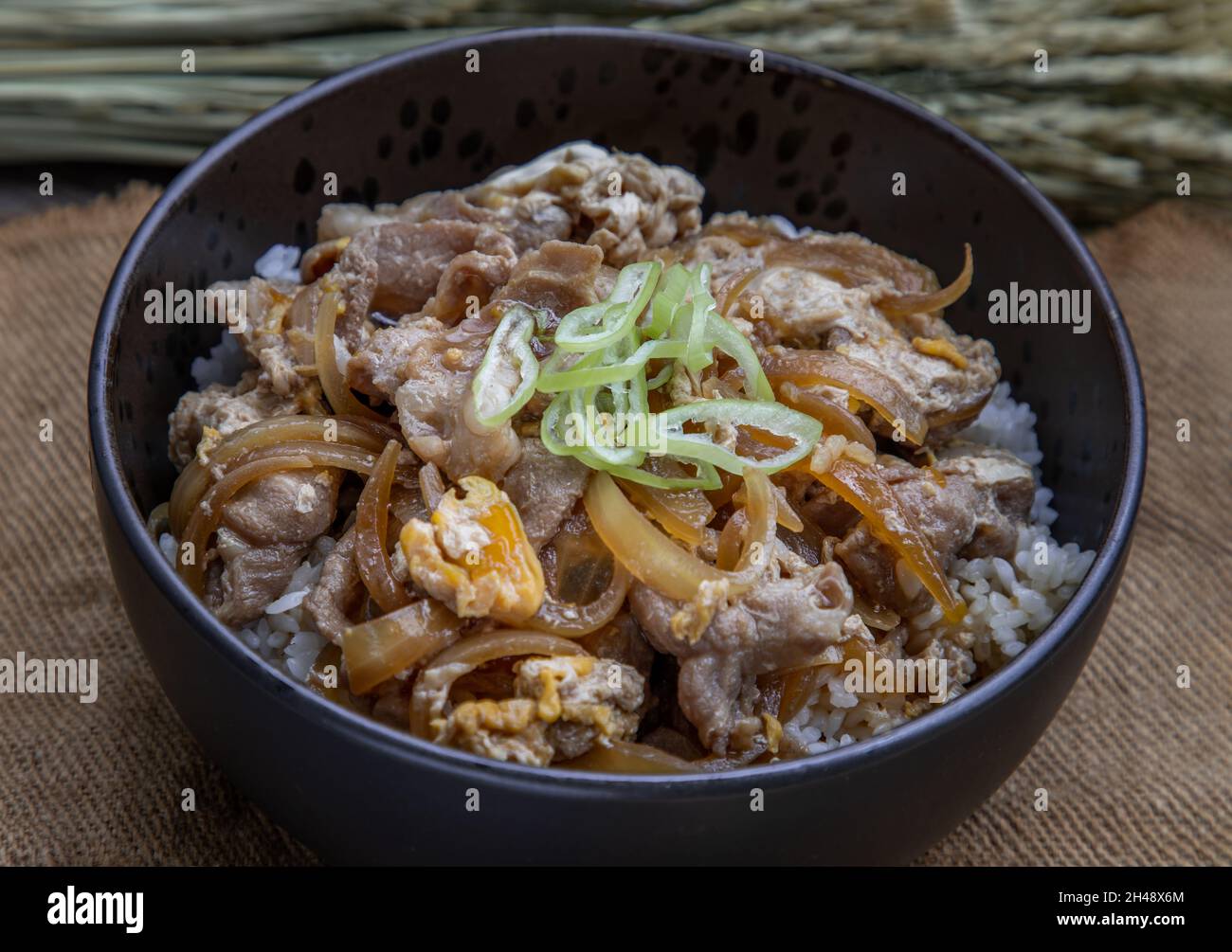 Japanese pork rice bowl with egg and onion (Donburi) on wooden table ...