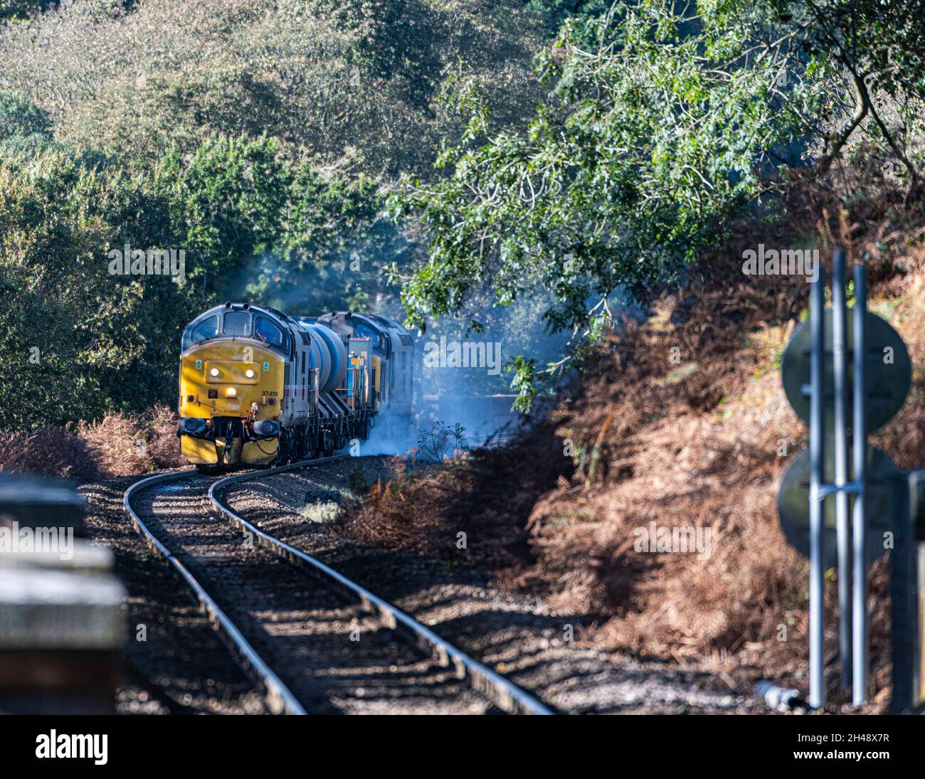 Class 37 Leaf clearing train Stock Photo - Alamy