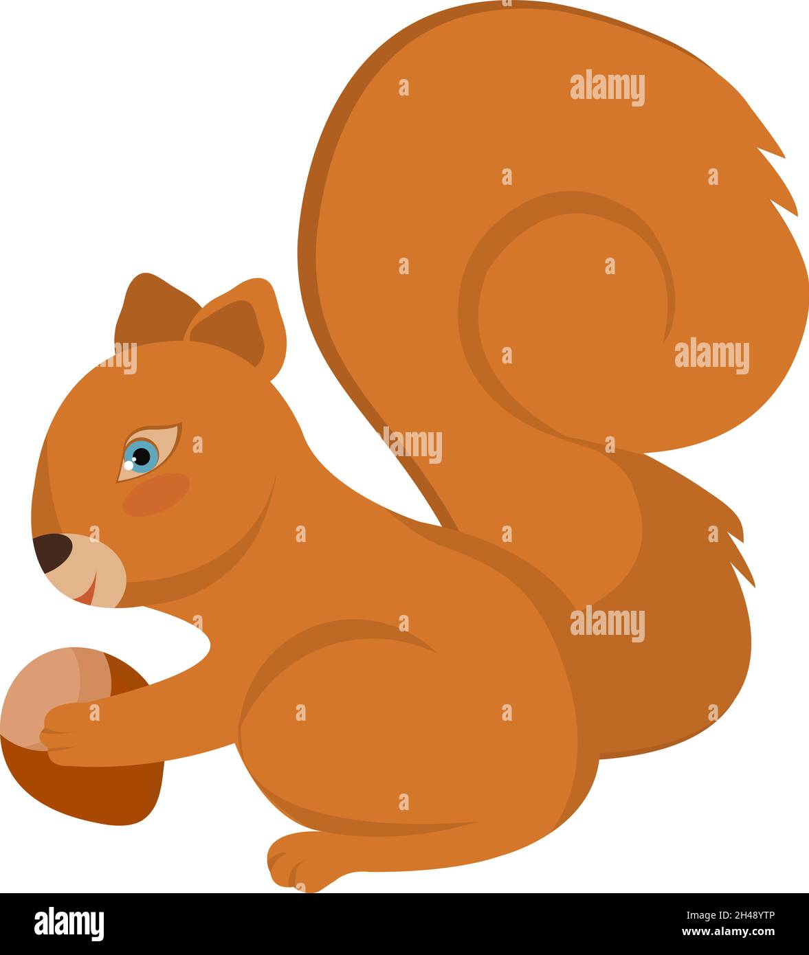 Squirrel with nut, illustration, vector on a white background Stock ...