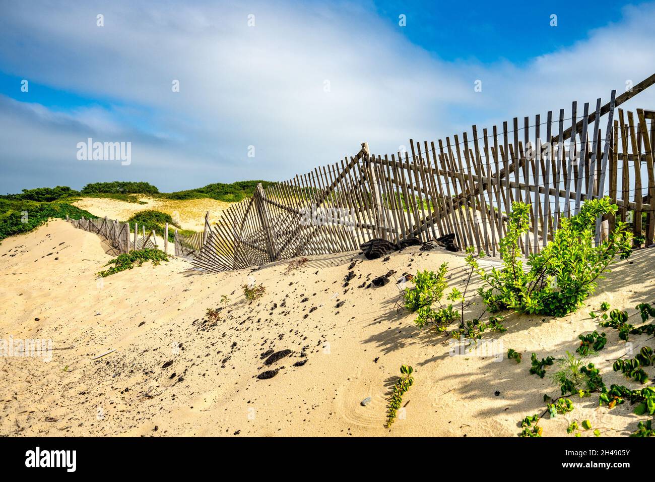Sandy beach with a wooden fence Stock Photo - Alamy