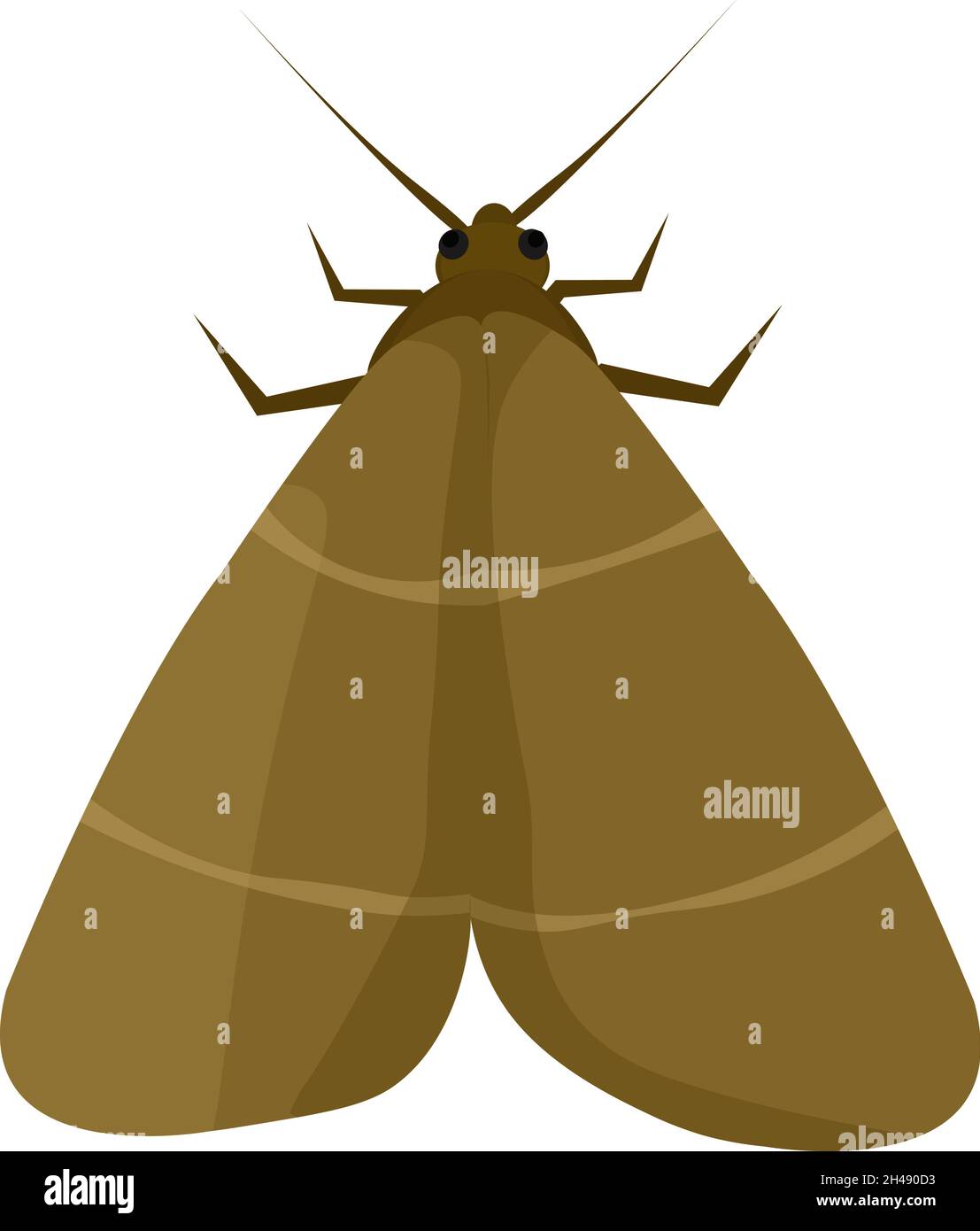 Brown moth, illustration, vector on a white background Stock Vector ...