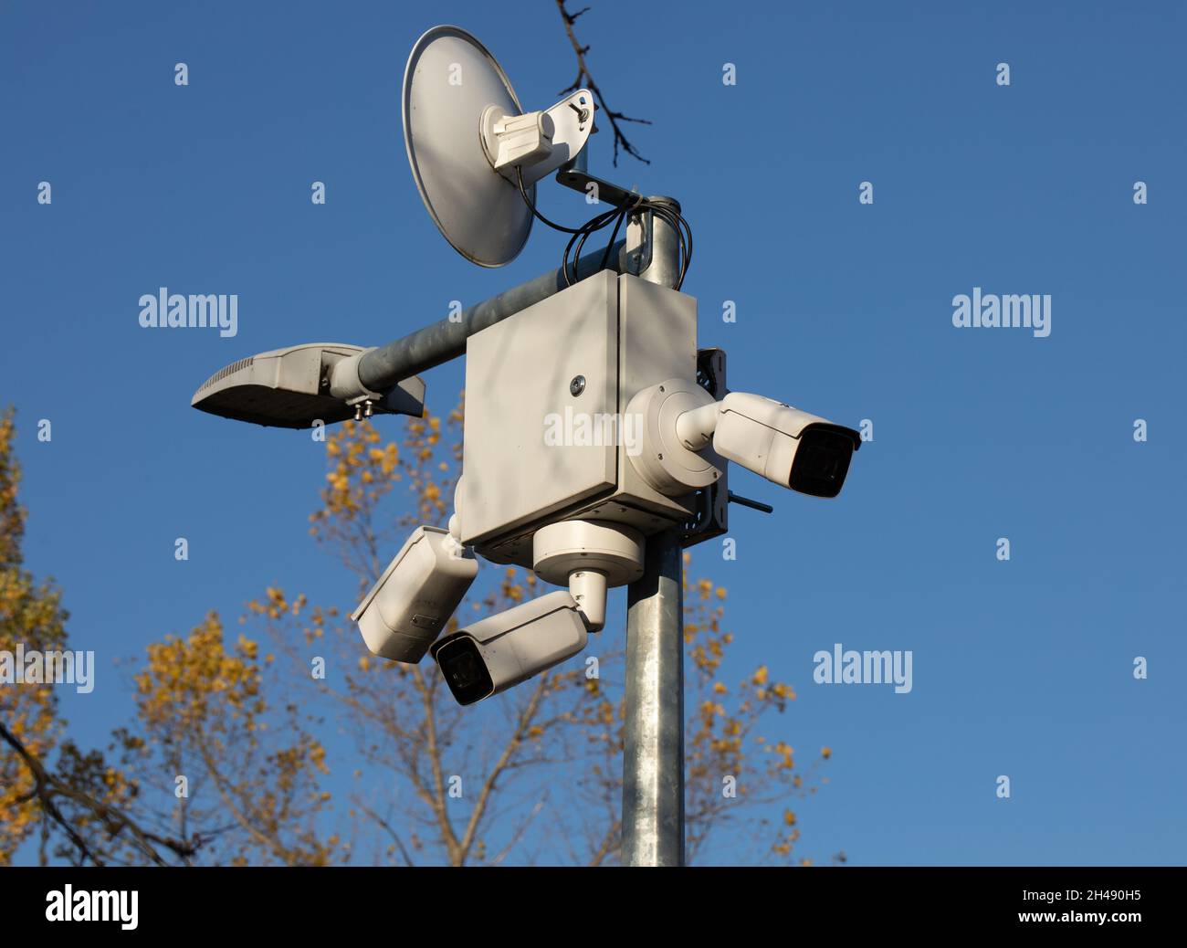 Invigilation hi-res stock photography and images - Alamy