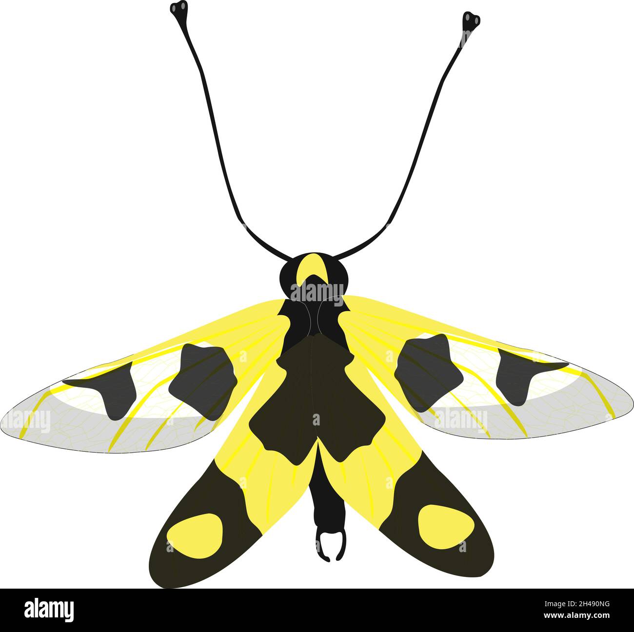 Owl fly, illustration, vector on a white background Stock Vector Image ...