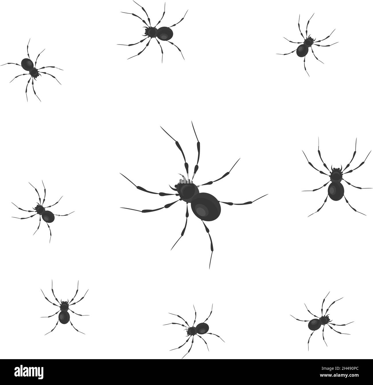 Spider insect, illustration, vector on a white background Stock Vector ...