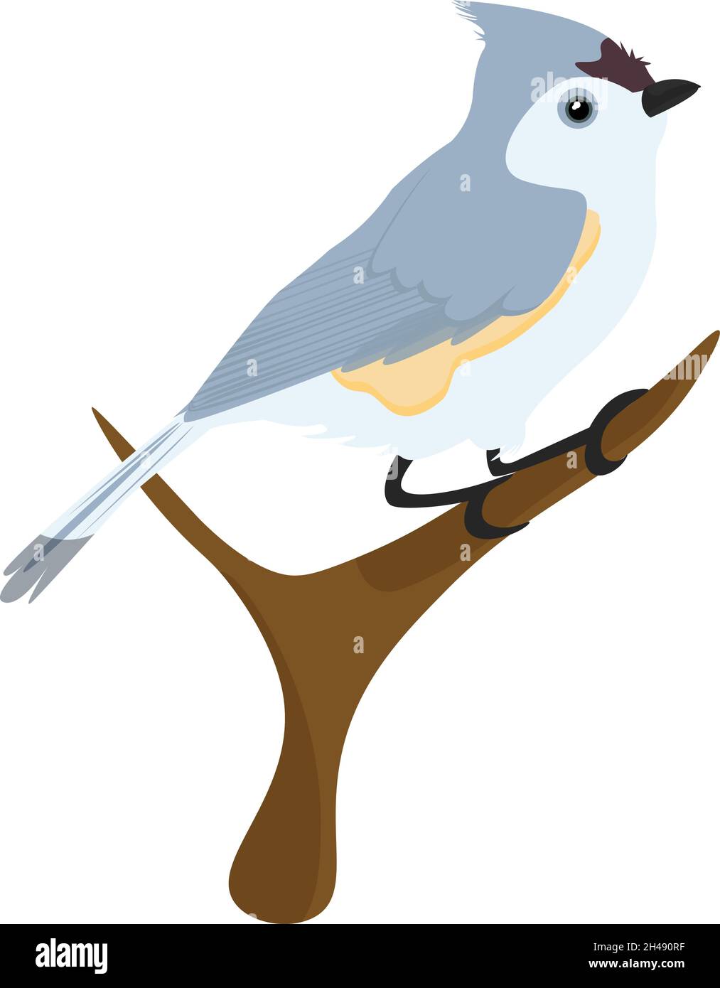 Titmouse bird, illustration, vector on a white background Stock Vector ...