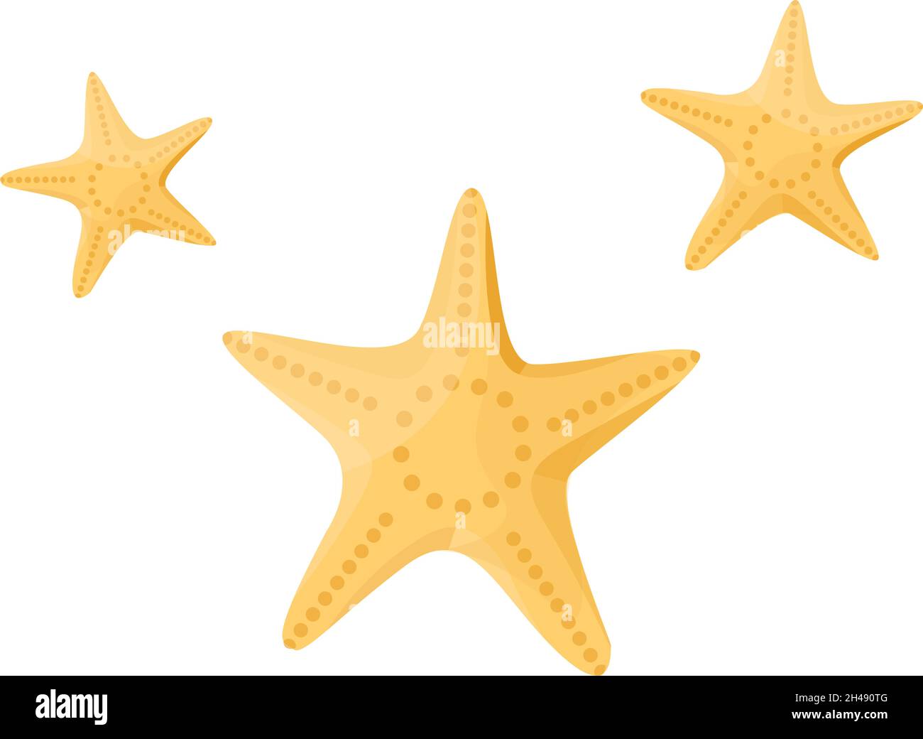 Star fish, illustration, vector on a white background Stock Vector ...