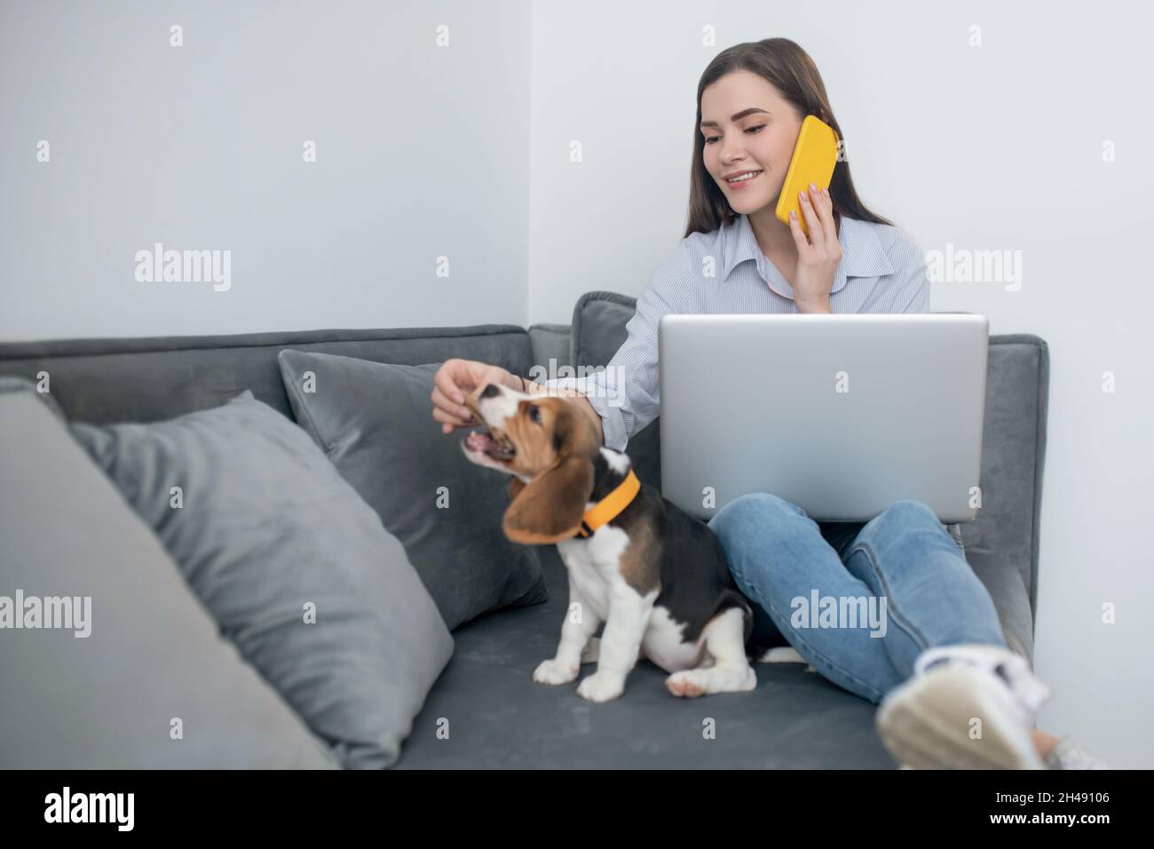 Young dark-haired woman working on a laptop and playing with a puppy Stock Photo - Alamy