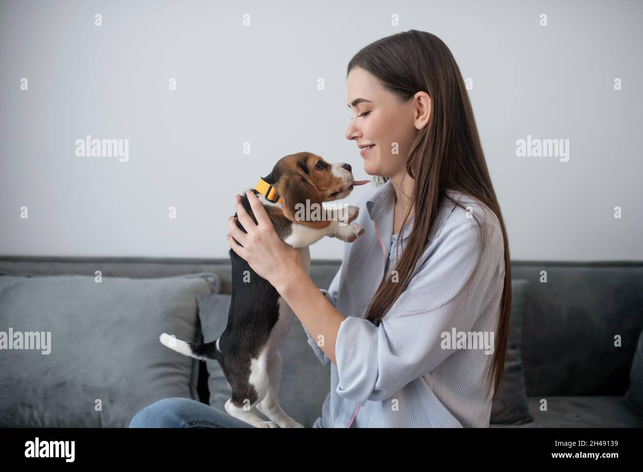 Cute pet moments hi-res stock photography and images - Alamy