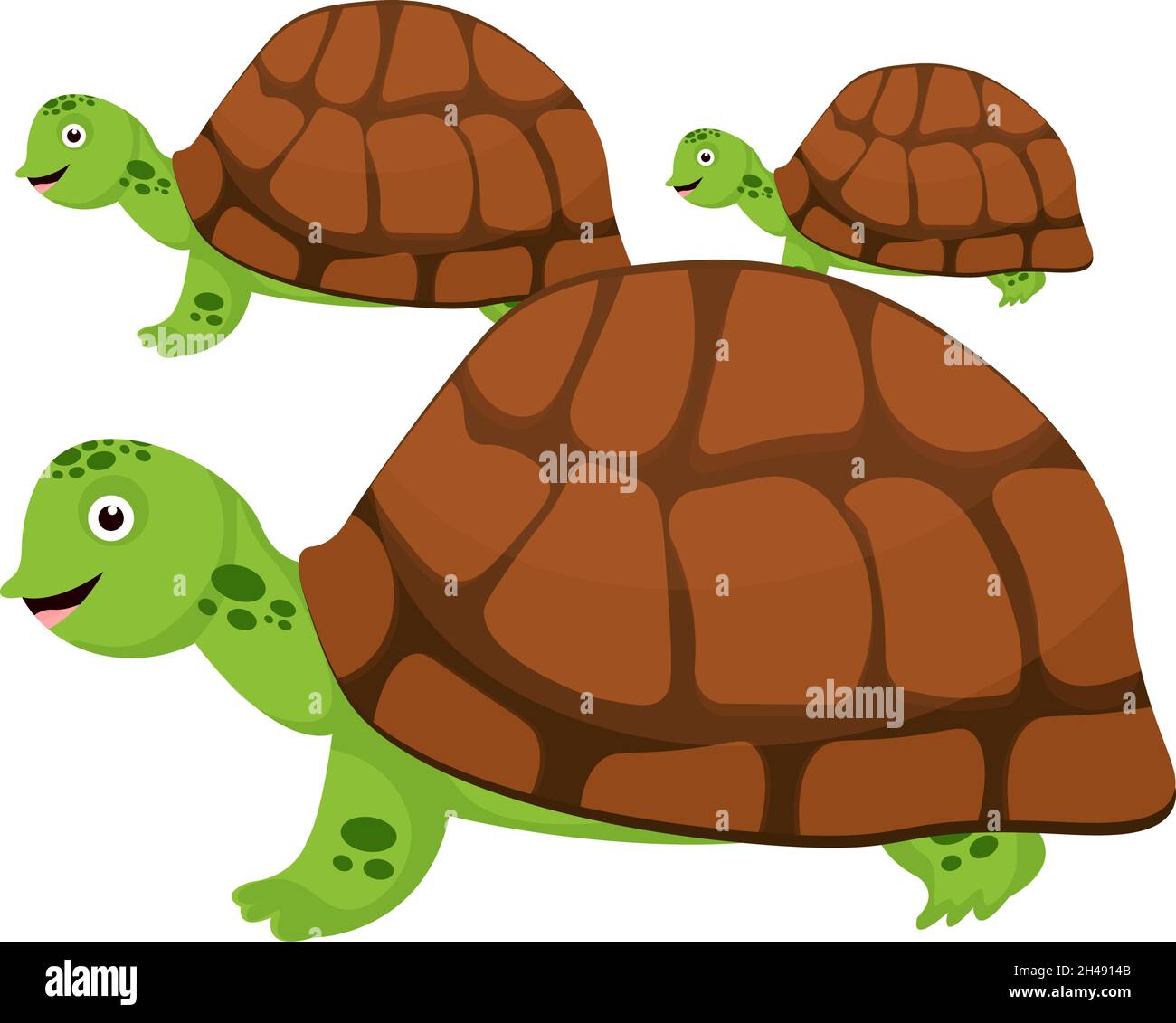 Tortoise animal, illustration, vector on a white background Stock ...