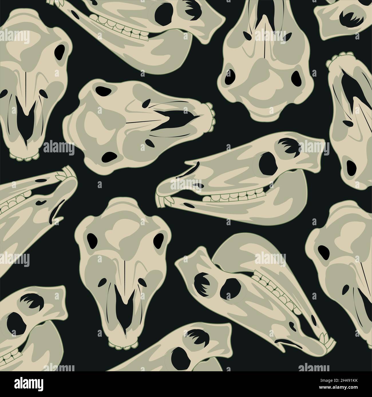 Skull pets horse type from the side and frontal pattern Stock Vector ...