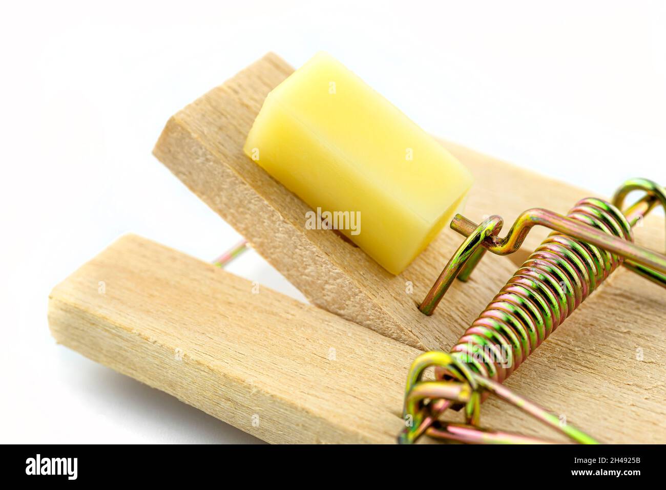 A macro photo of a cheese cube lying on a pawl in a mousetrap, isolated ...