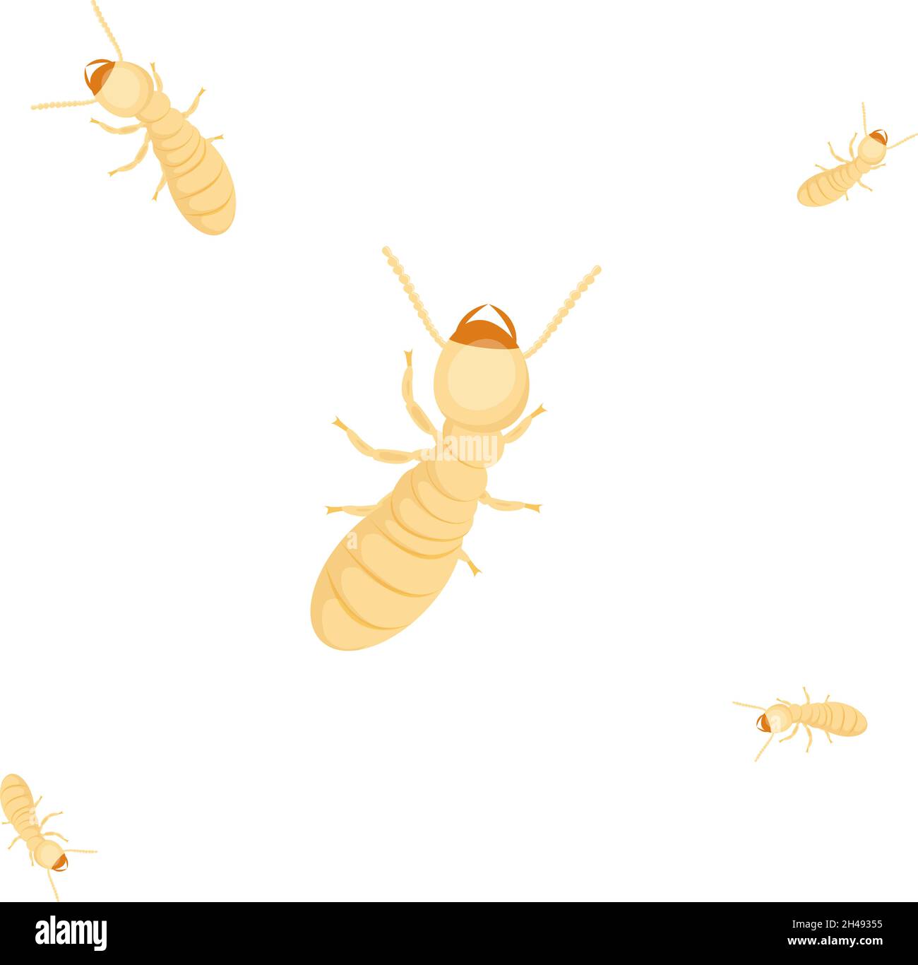 Termite Stock Vector Images - Alamy