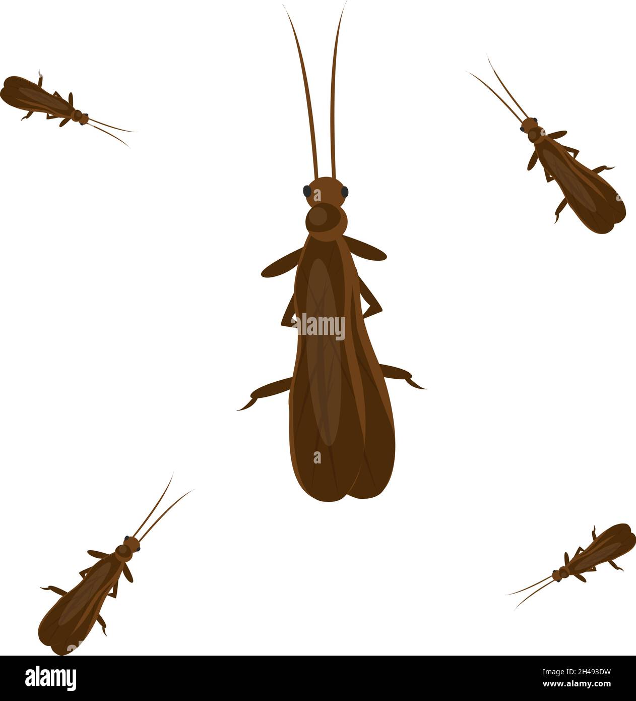 Stone fly, illustration, vector on a white background Stock Vector ...