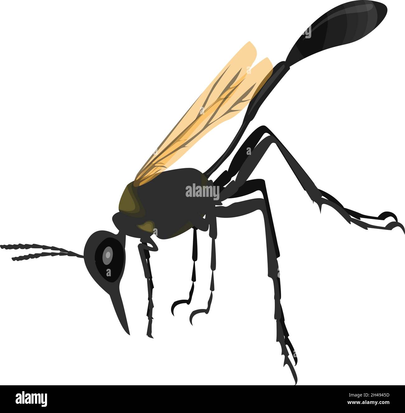 Big wasp, illustration, vector on a white background Stock Vector Image ...